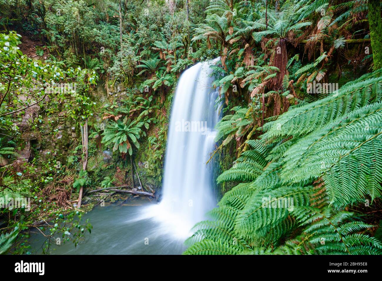 Landscape, Waterfall, Beauchamp Falls, Beech Forest, Great Otway ...