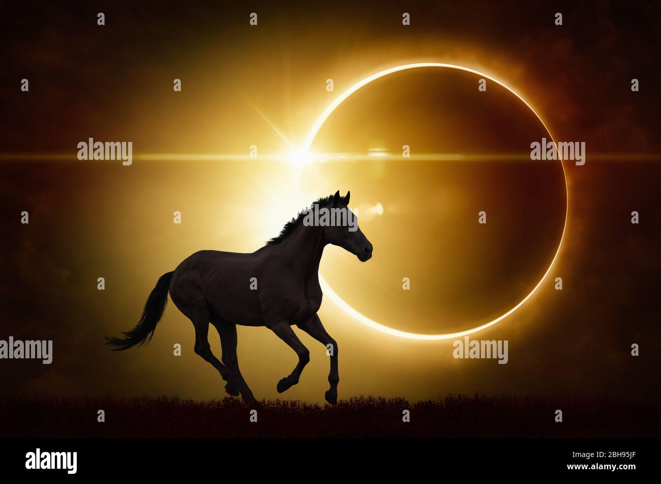 Black horse is running on total solar eclipse background Stock Photo ...
