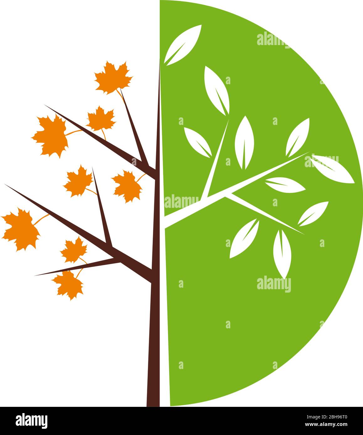 Vector sign cycle of the seasons, tree in spring and autumn Stock ...