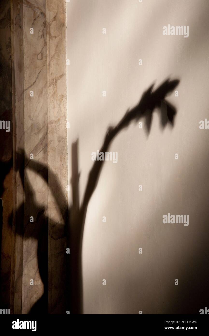 Shadow of a cross in the interior of a church hi-res stock photography ...