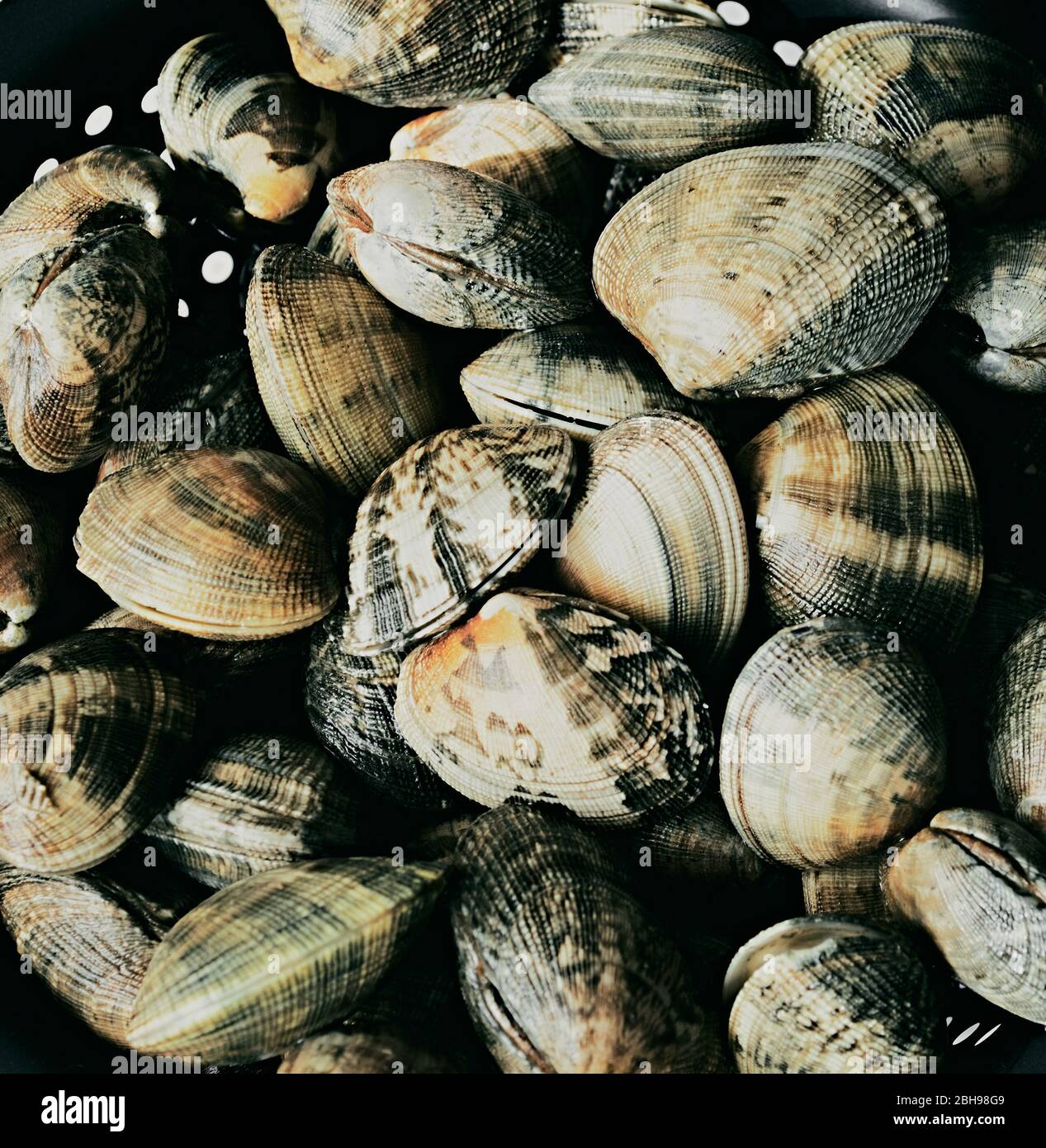 Raw clams hi-res stock photography and images - Alamy