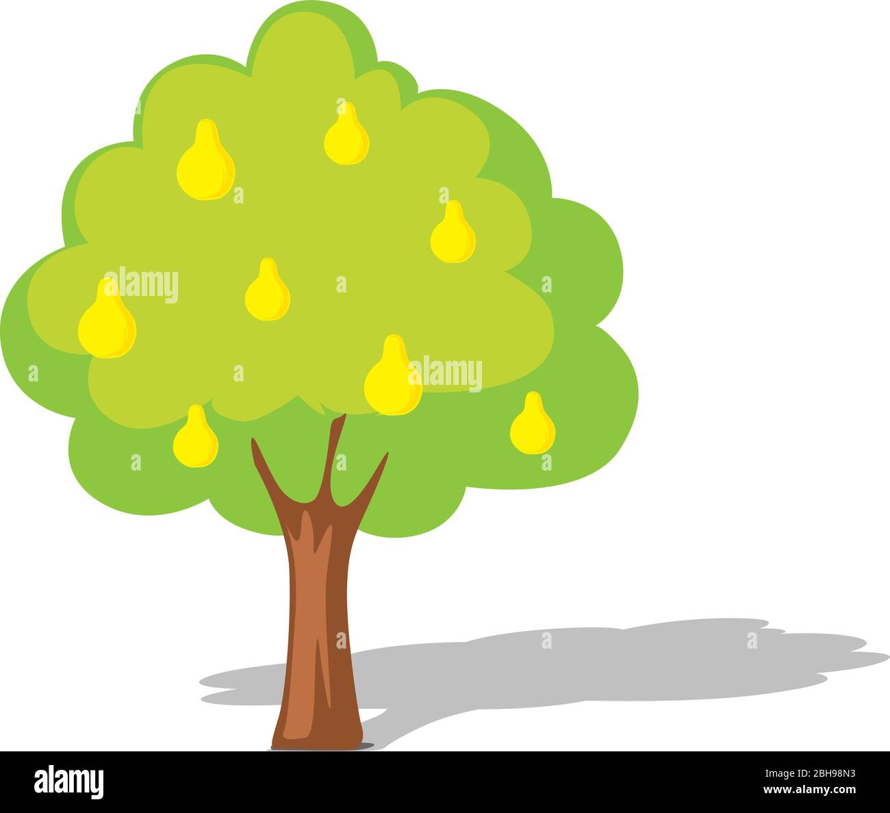 Pear tree isolated on white - flat design illustration vector Stock ...