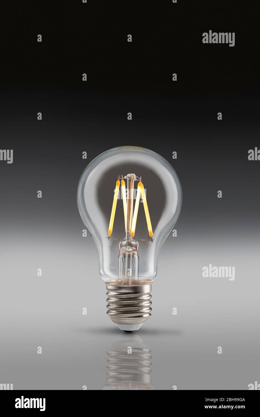 Item photograph LED light bulb Stock Photo - Alamy