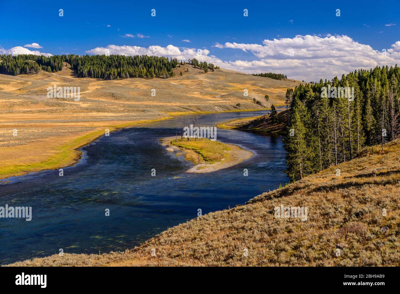 USA, Wyoming, Yellowstone National Park, Canyon Village, Hayden Valley ...