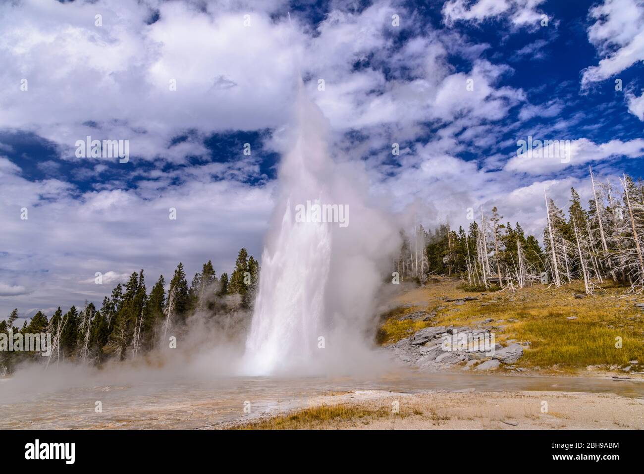 USA, Wyoming, Yellowstone National Park, Old Faithful, Upper Geyser ...