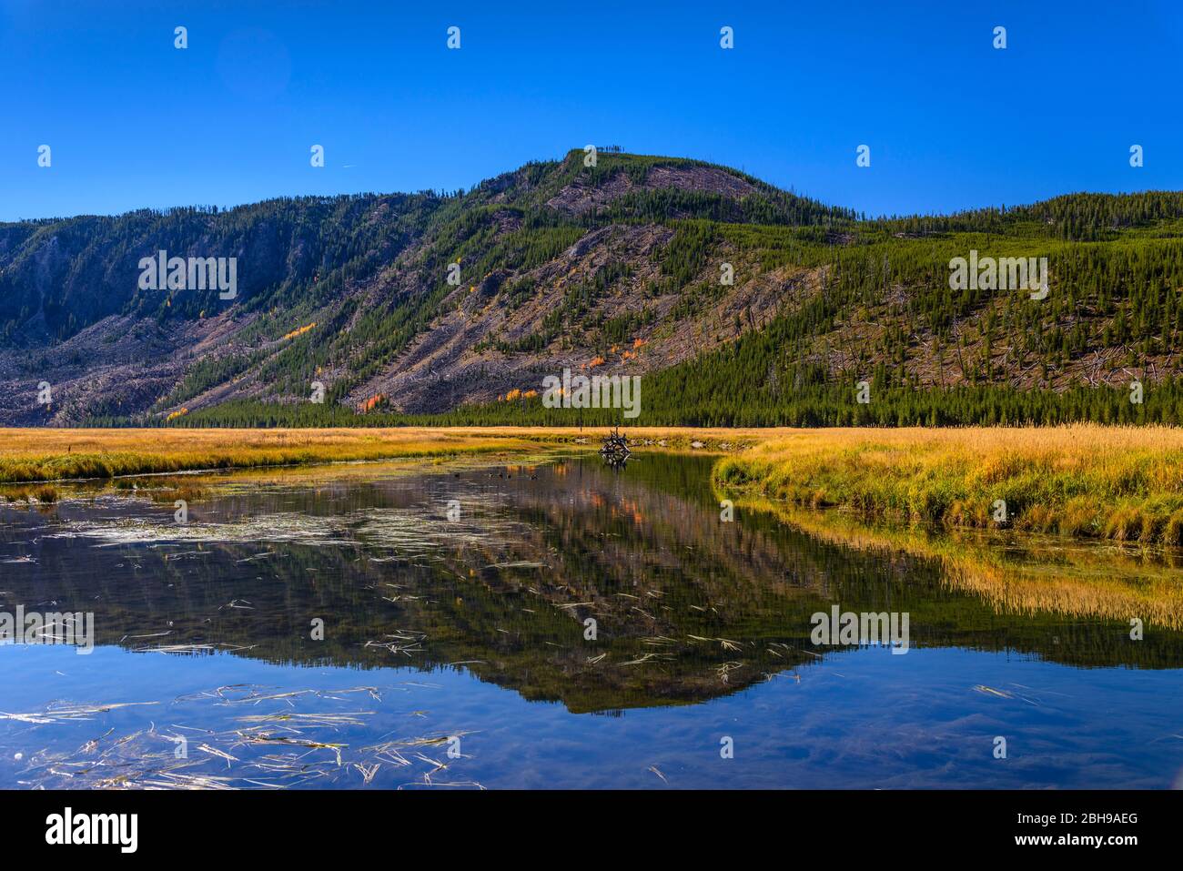 Madison river valley hi-res stock photography and images - Alamy