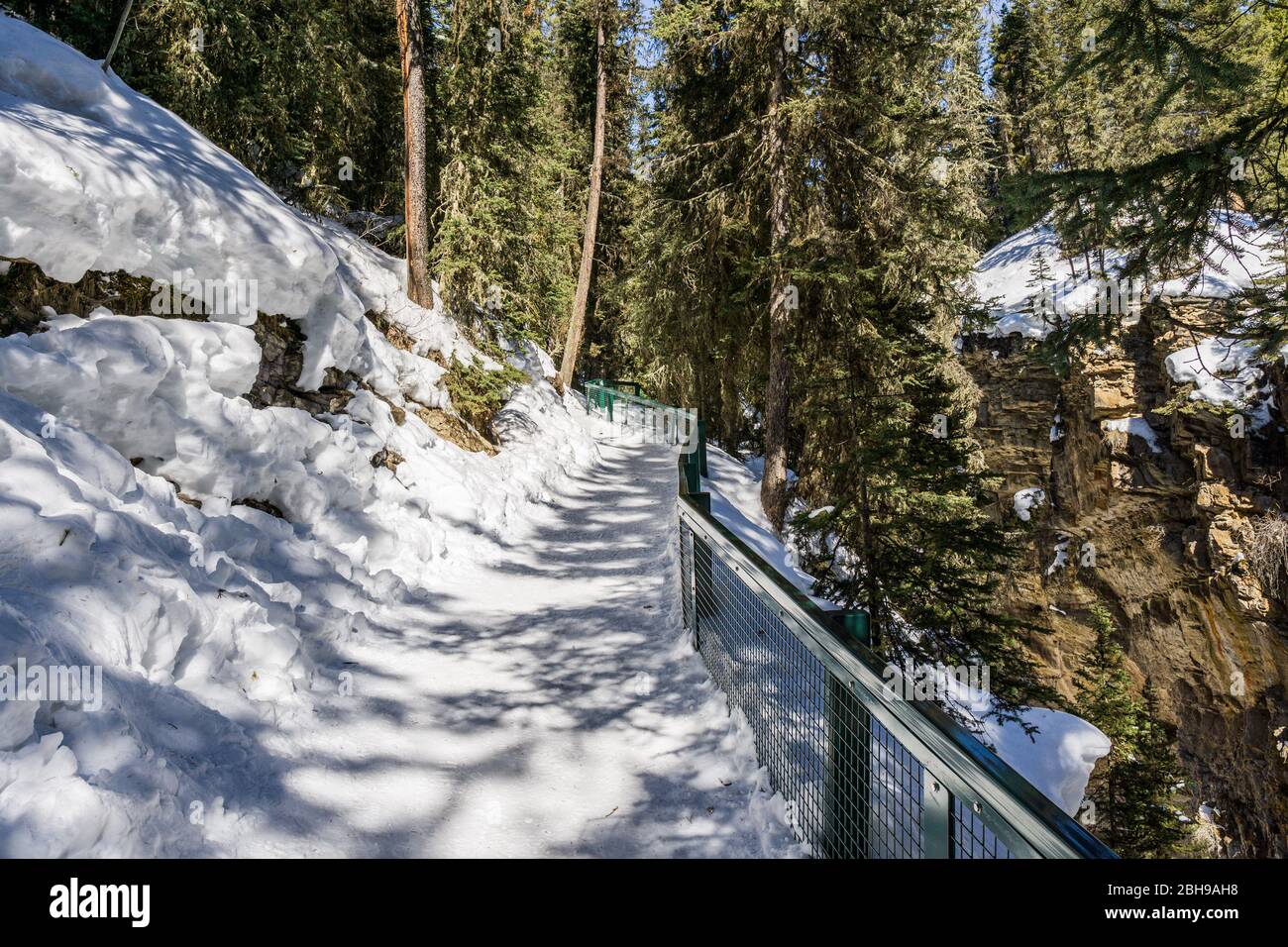 path in the forest winter landscape hiking trail Stock Photo - Alamy