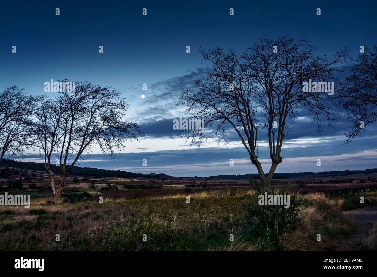 Full moon landscape trees hi-res stock photography and images - Alamy