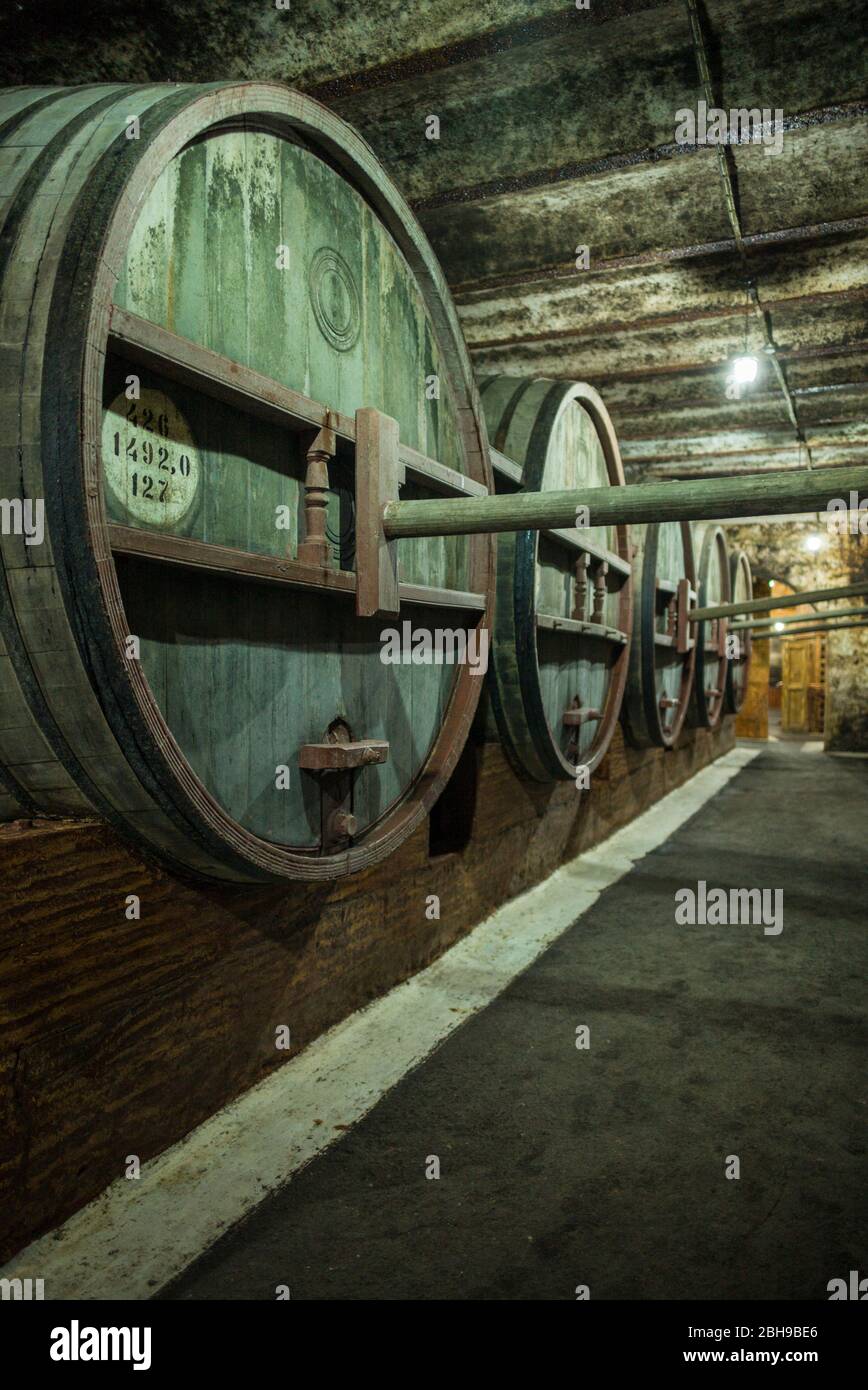 Armenia, Yerevan, Yerevan Noy Brandy Company, Brandy distillers since ...