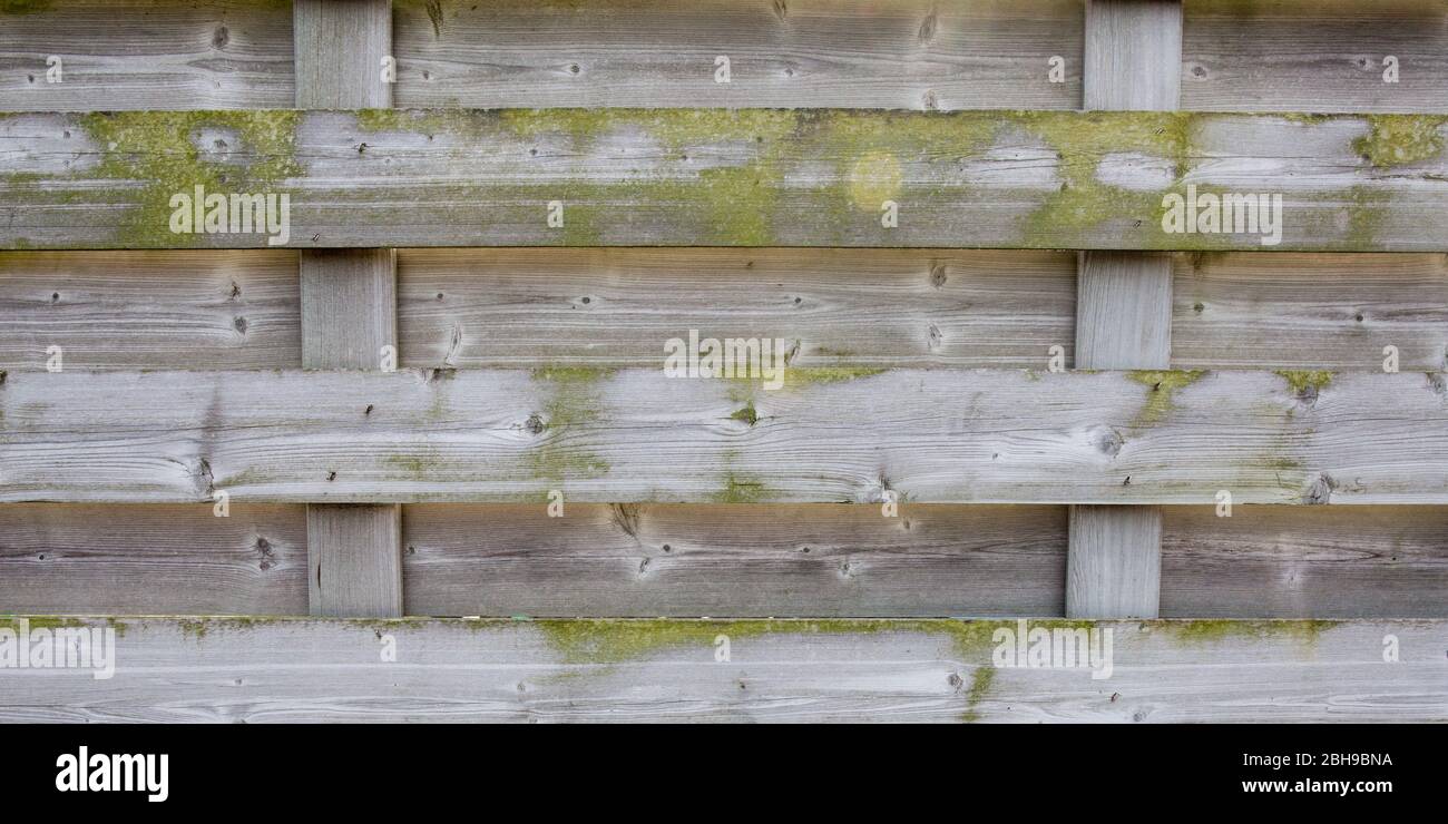 Horizontal pine wood wall hi-res stock photography and images - Alamy
