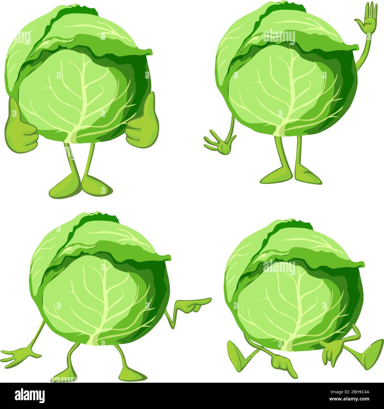 Cabbage cartoon with legs and hand gesture - vector illustration Stock ...