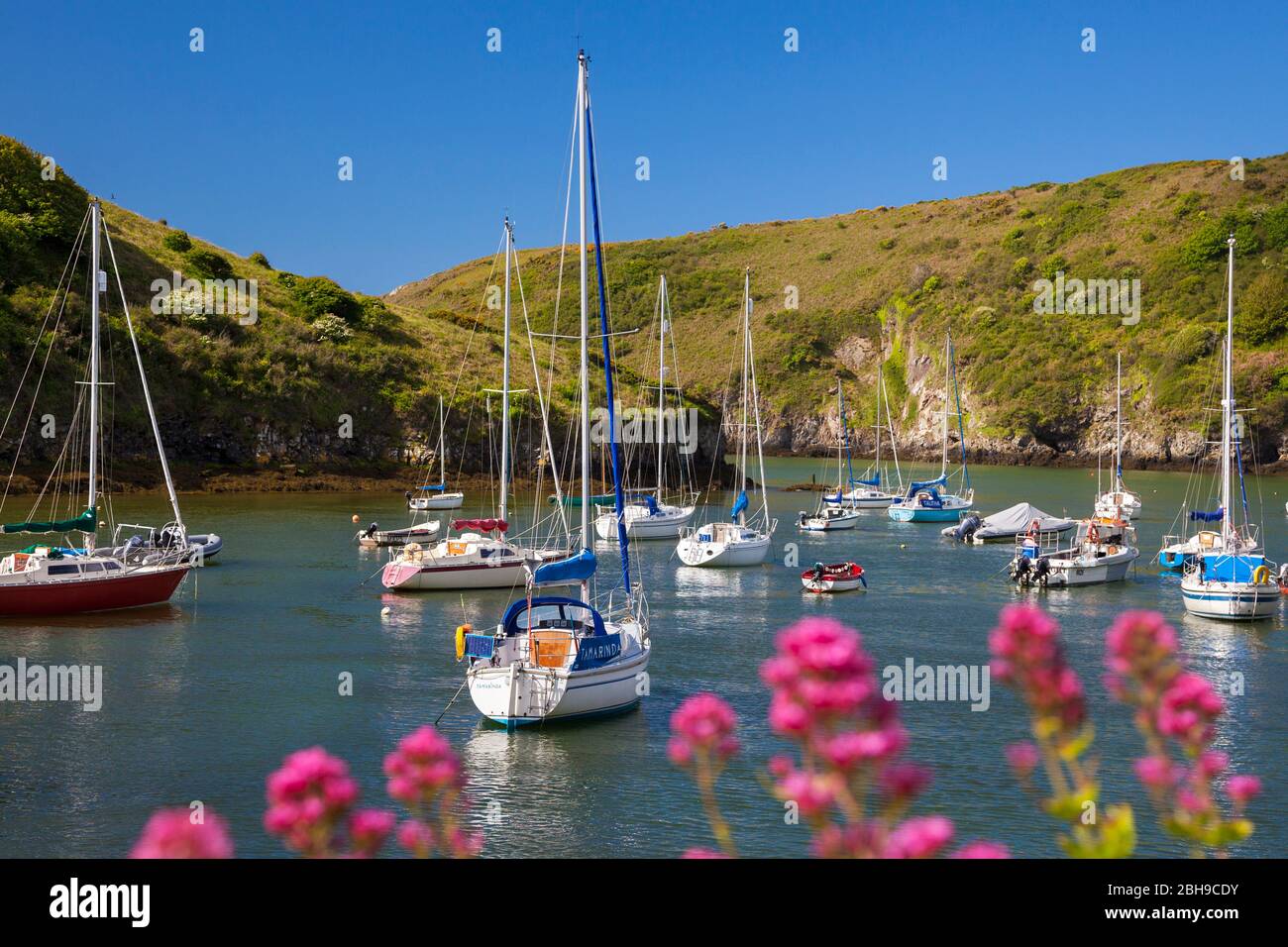 Solva Wales High Resolution Stock Photography and Images - Alamy