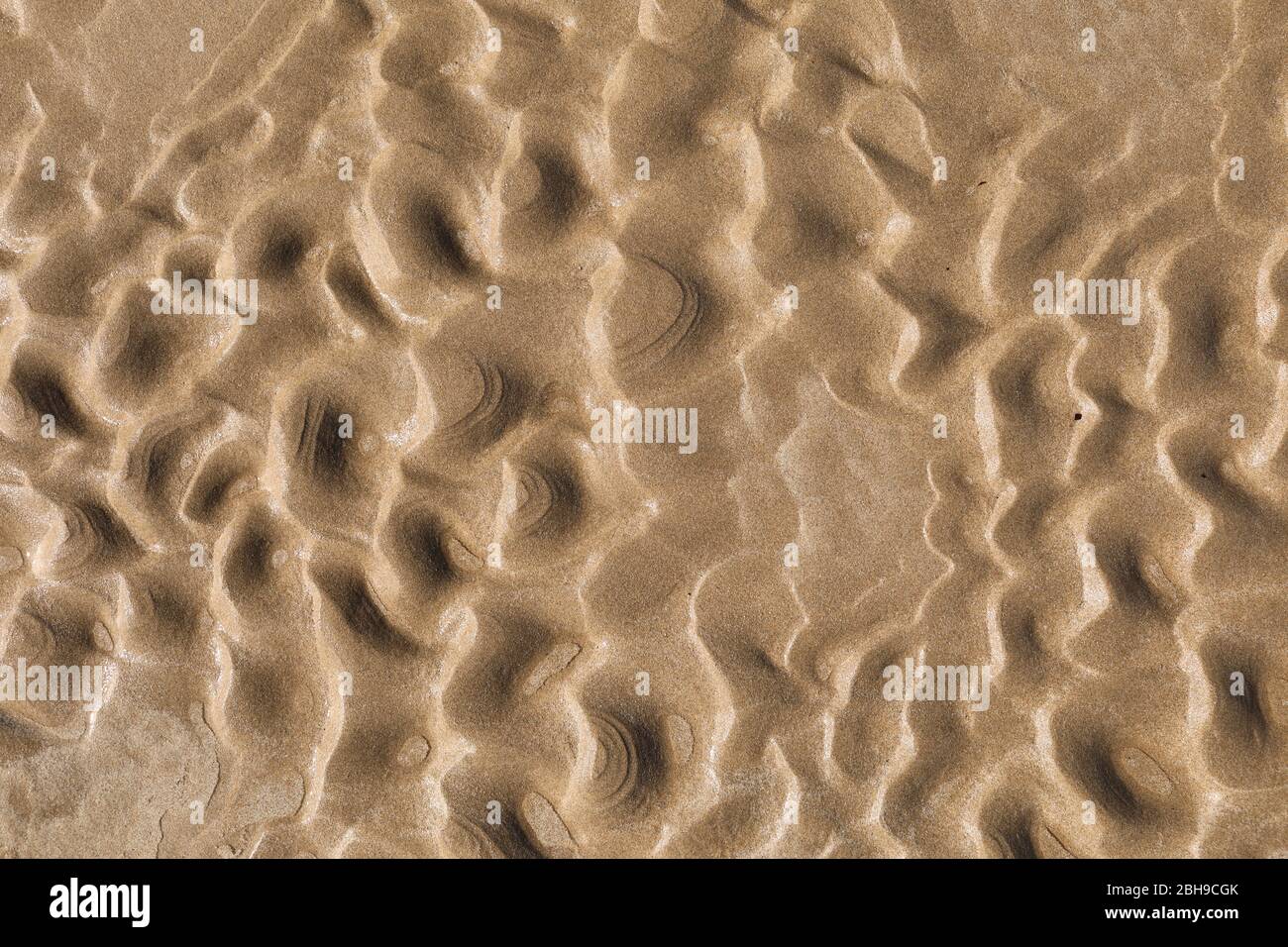 Close up Nature Beach Sand wet Texture In Summer . selective focus ...