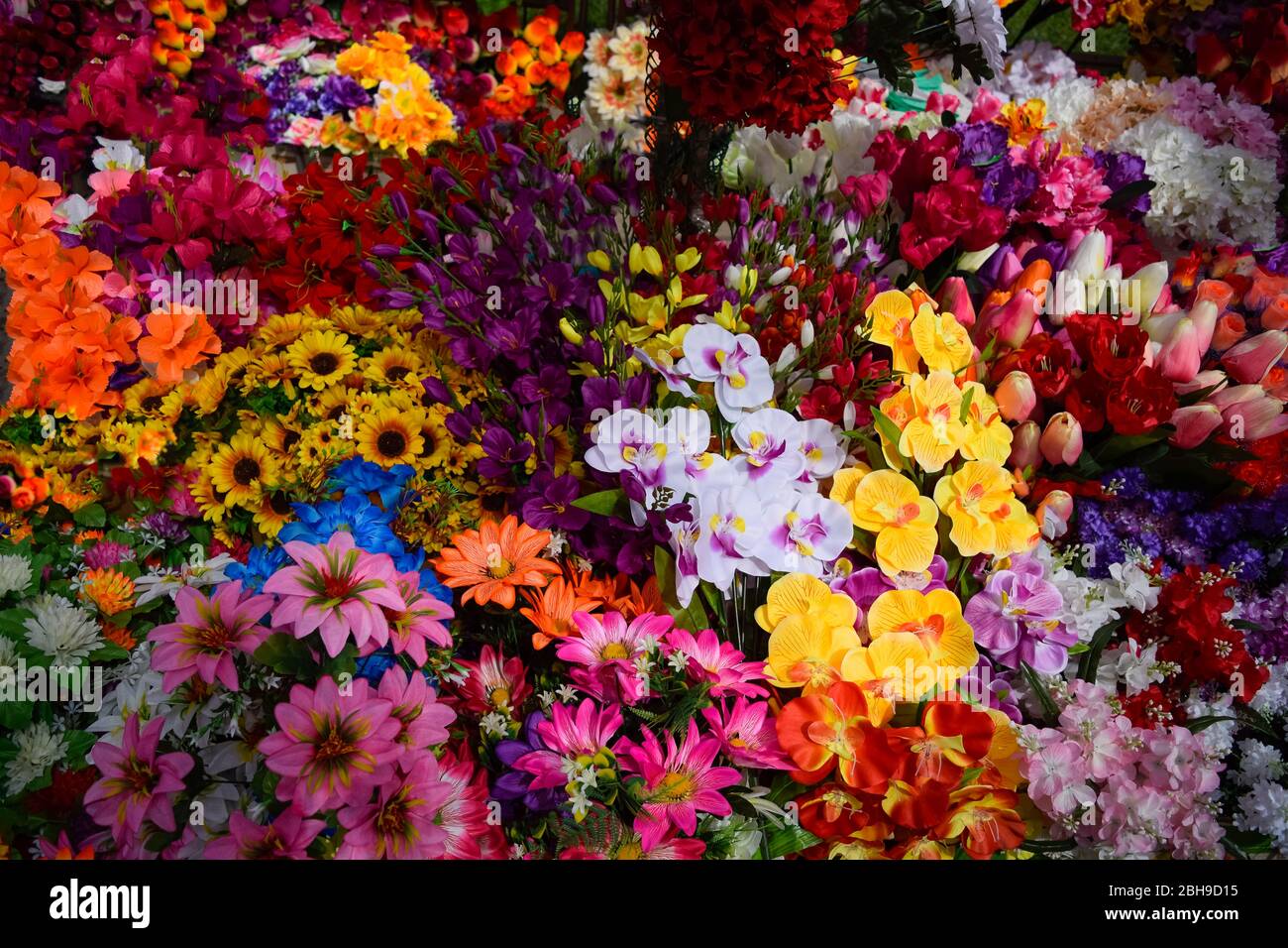 The flower shop counter. Lots of different colors Stock Photo - Alamy