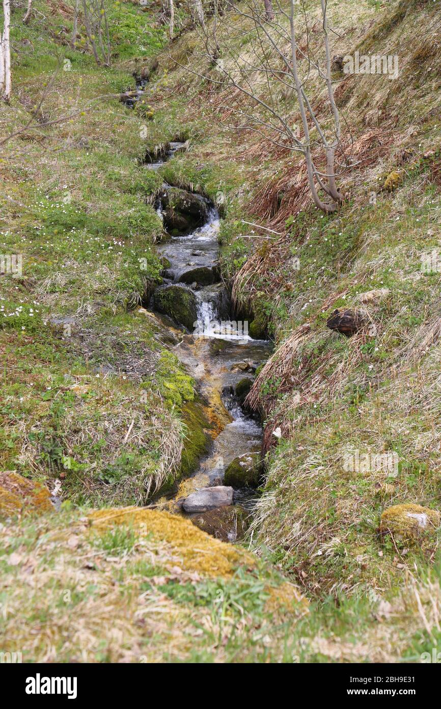 Tiny stream in Norwegian valley Stock Photo - Alamy