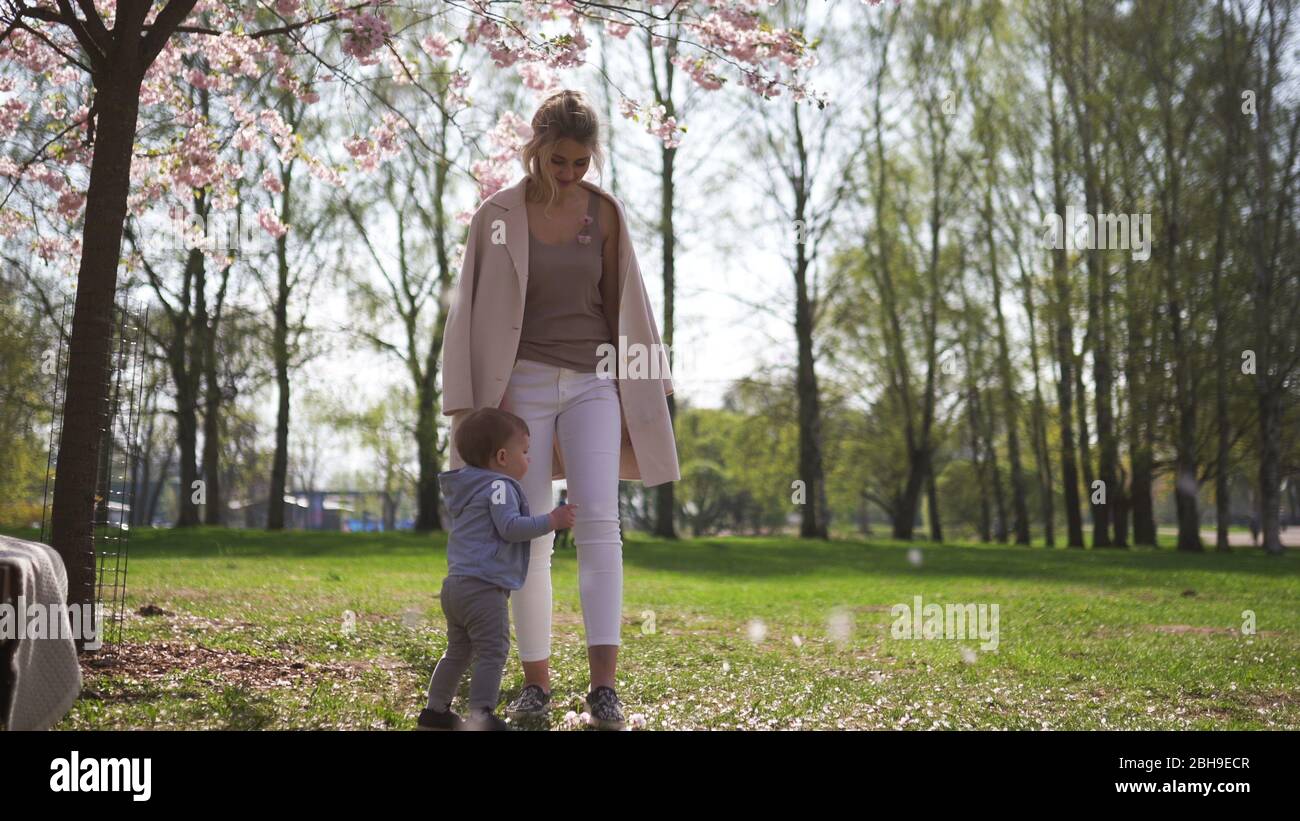 Family enjoying sakura in park. Riga Stock Photo - Alamy