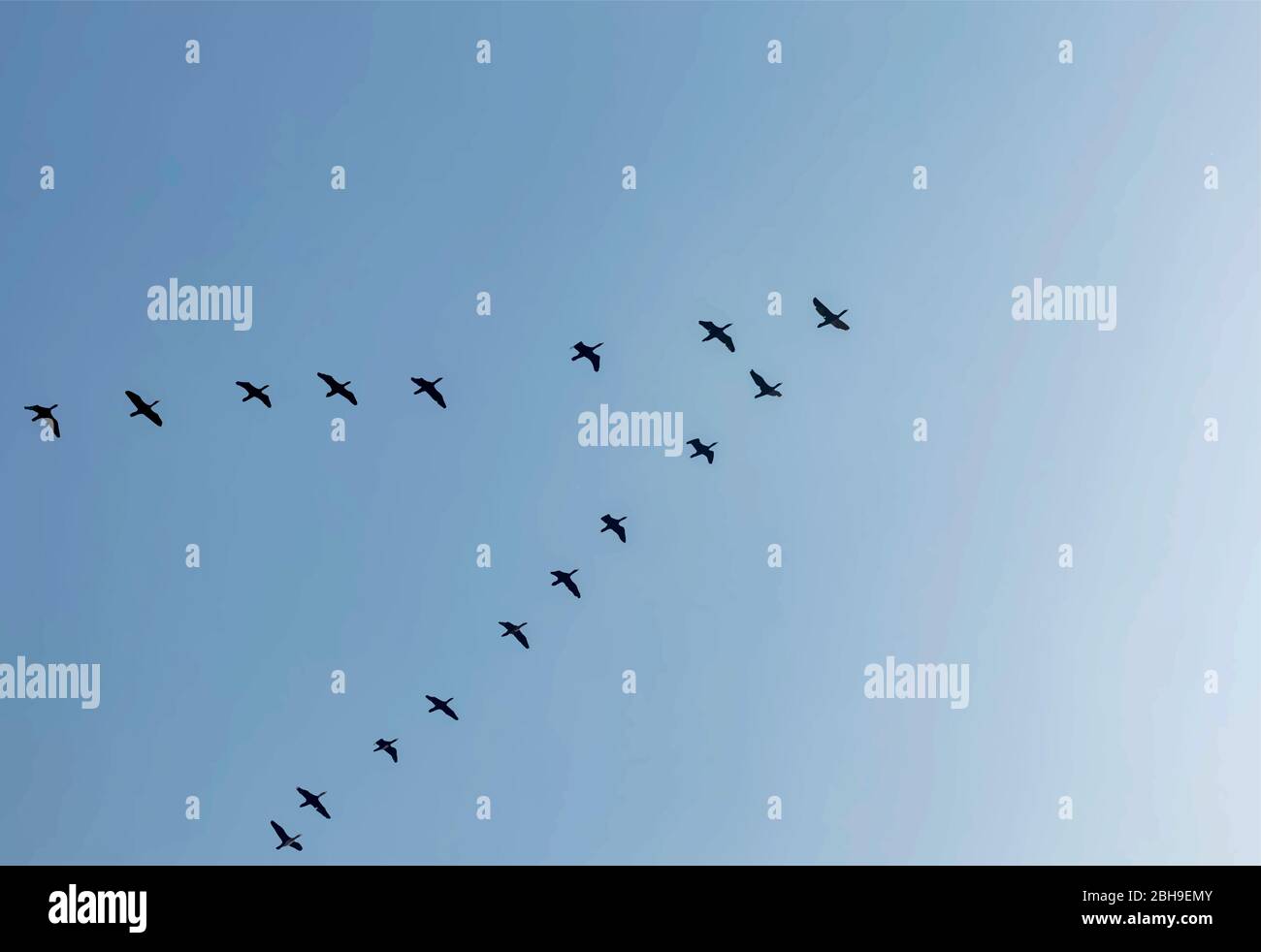 Spring migrating Stock Vector Images - Alamy