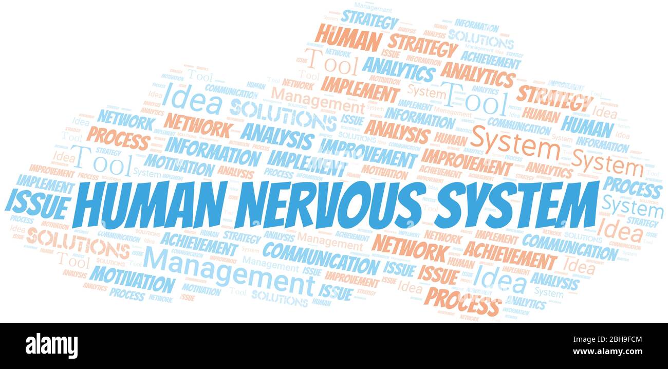 Human Nervous System typography vector word cloud. Wordcloud collage ...