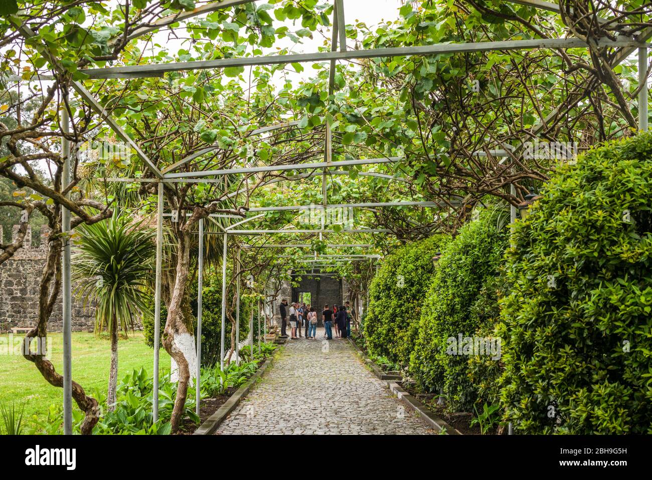 Georgia, Batumi, Gonio-Apsaros Fortress, 7th century, gardens Stock ...