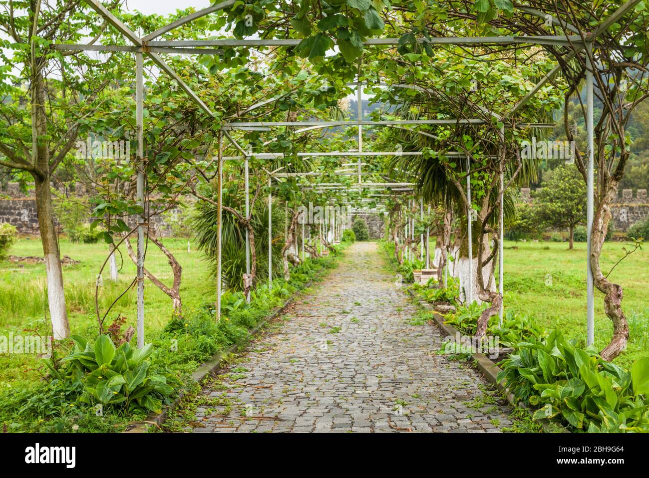 Georgia, Batumi, Gonio-Apsaros Fortress, 7th century, gardens Stock ...