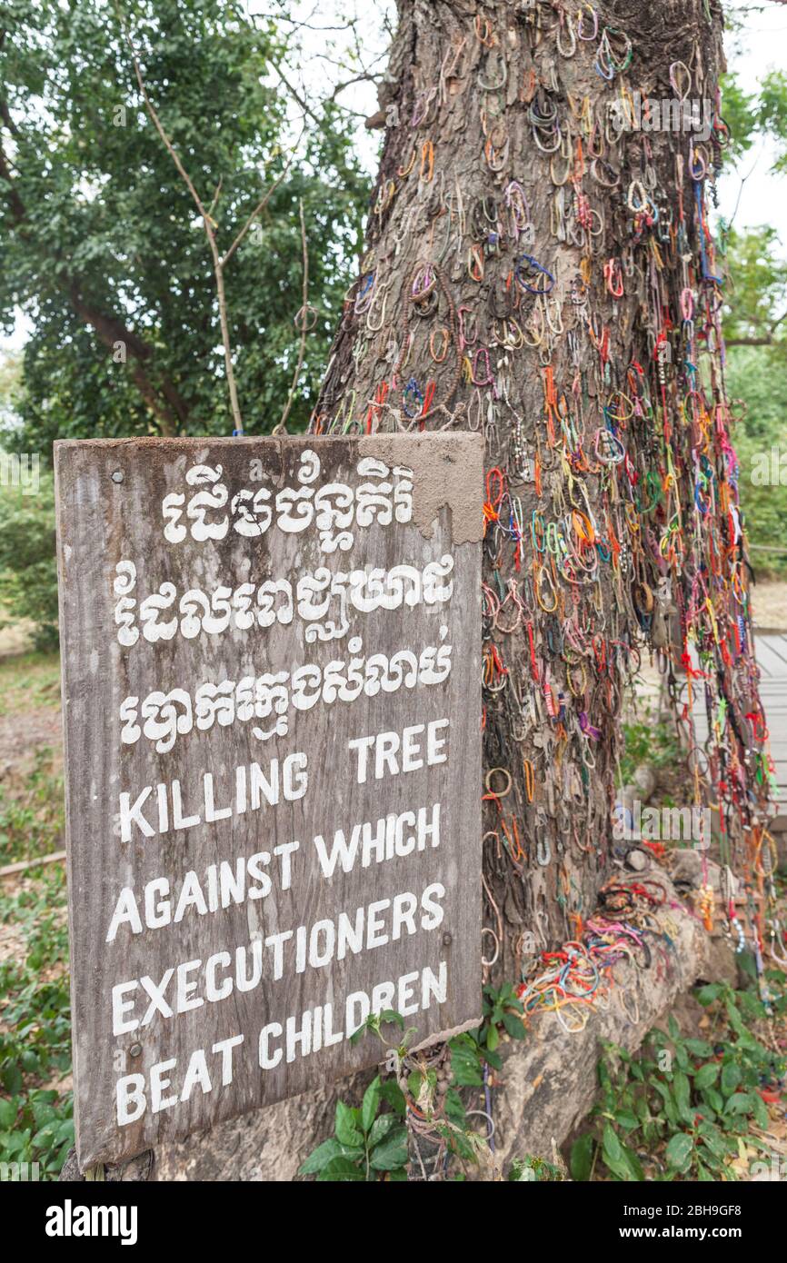 Cambodia, Phnom Penh, The Killing Fields of Choeung Ek, tree used to ...