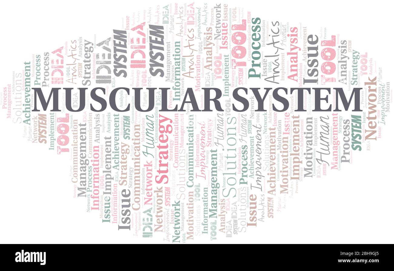 Muscular System typography vector word cloud. Wordcloud collage made ...