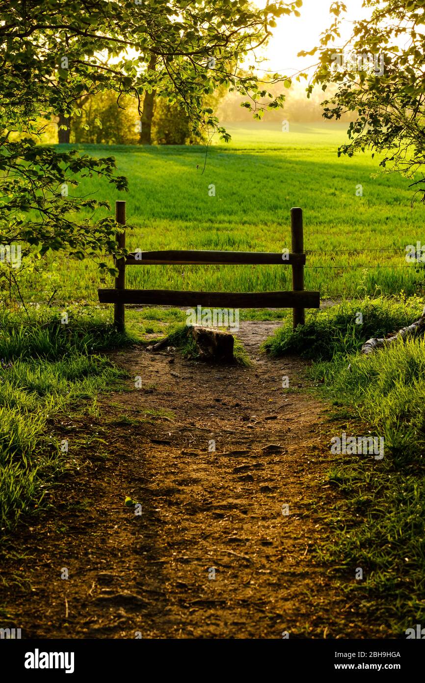 Boundary of a path hi-res stock photography and images - Alamy