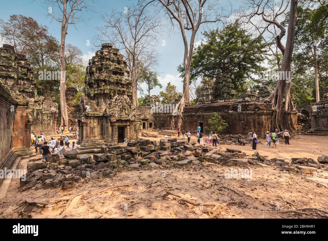 Cambodia, Angkor, Ta Prohm temple Stock Photo - Alamy