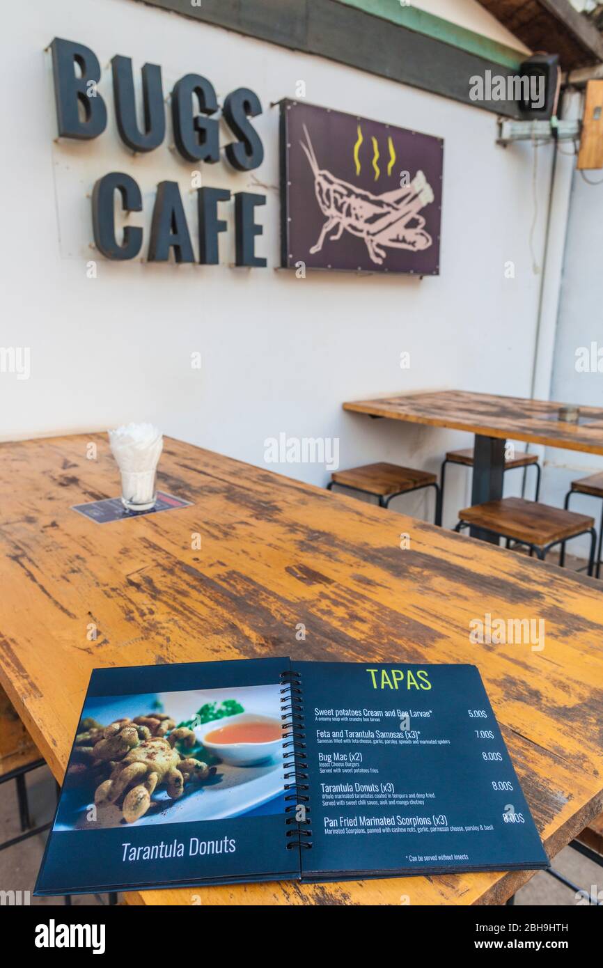 Cambodia, Siem Reap, Bugs Cafe, restaurant that serves cooked insects ...