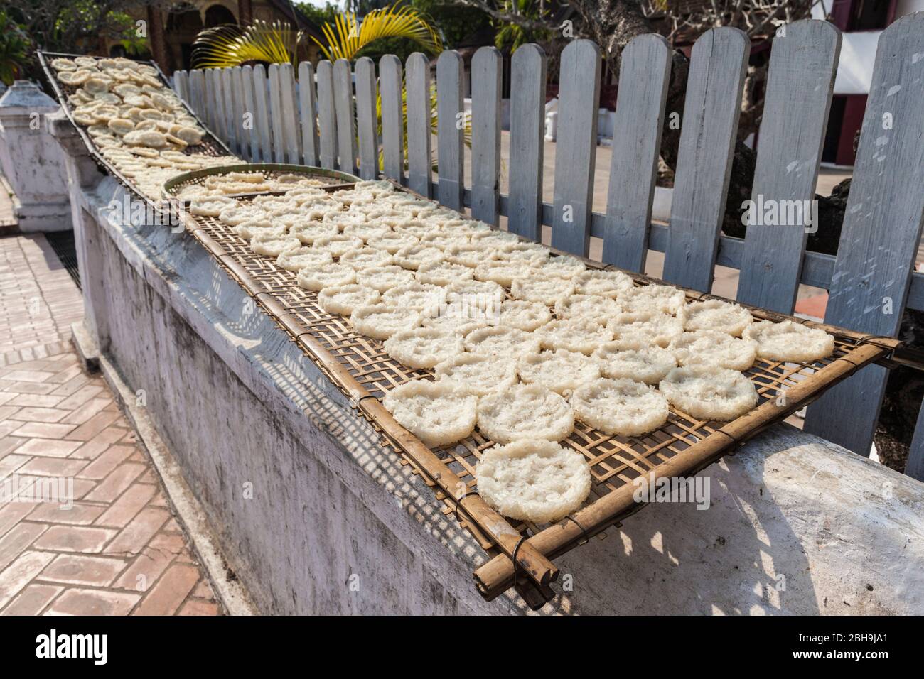 Laos, Luang Prabang, sticky rice cakes, Buddhist monk alms offering ...