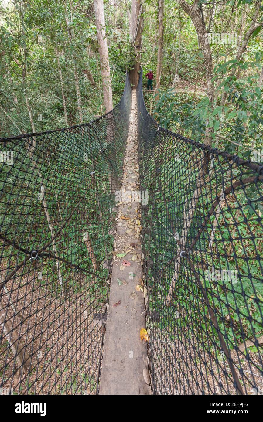 Elephant bridge hi-res stock photography and images - Alamy