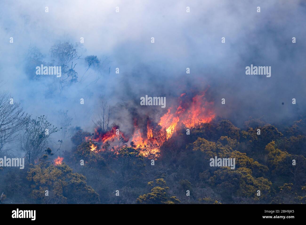 Wildfire hi-res stock photography and images - Alamy