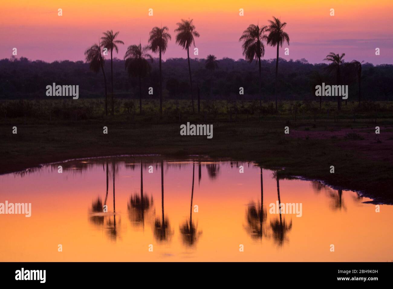 Cuiaba skyline hi-res stock photography and images - Alamy