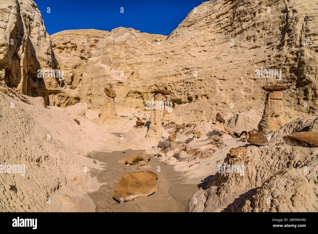 Kanab toadstools hi-res stock photography and images - Alamy