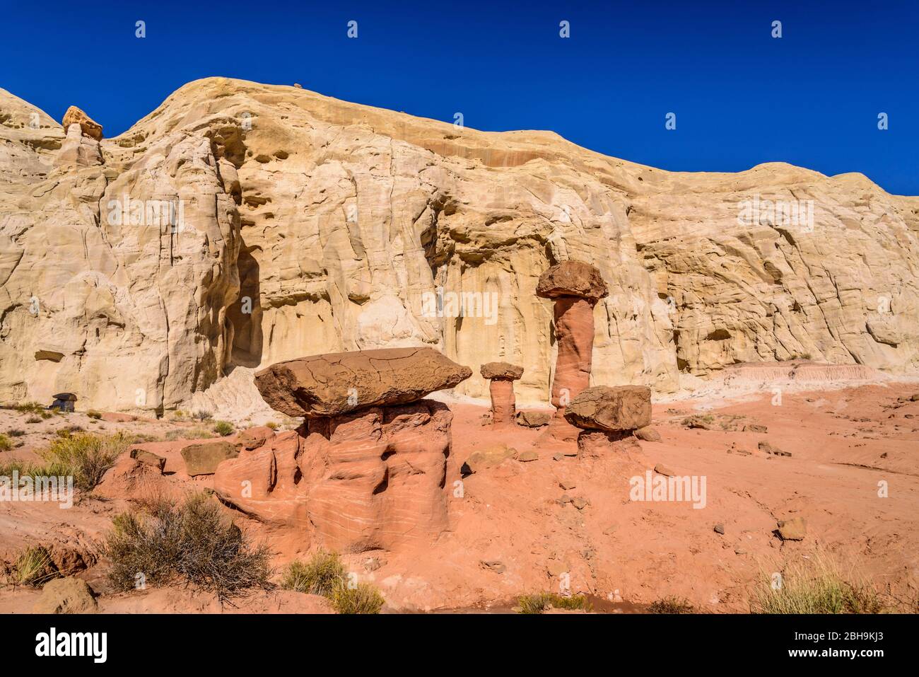 Kanab Toadstools High Resolution Stock Photography and Images - Alamy