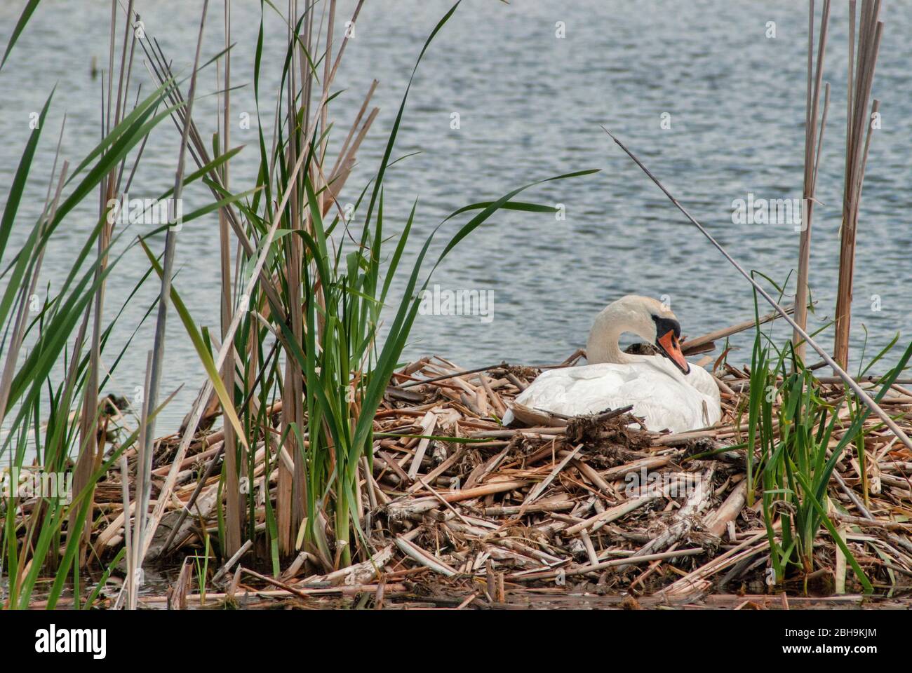 Brooding water hi-res stock photography and images - Alamy