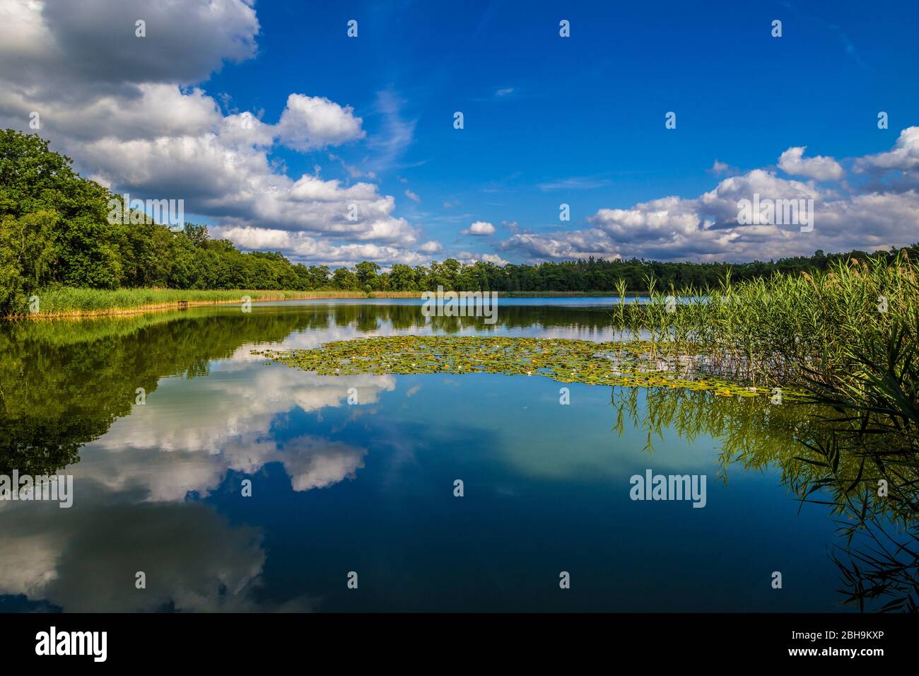 Smal lake in summer hi-res stock photography and images - Alamy
