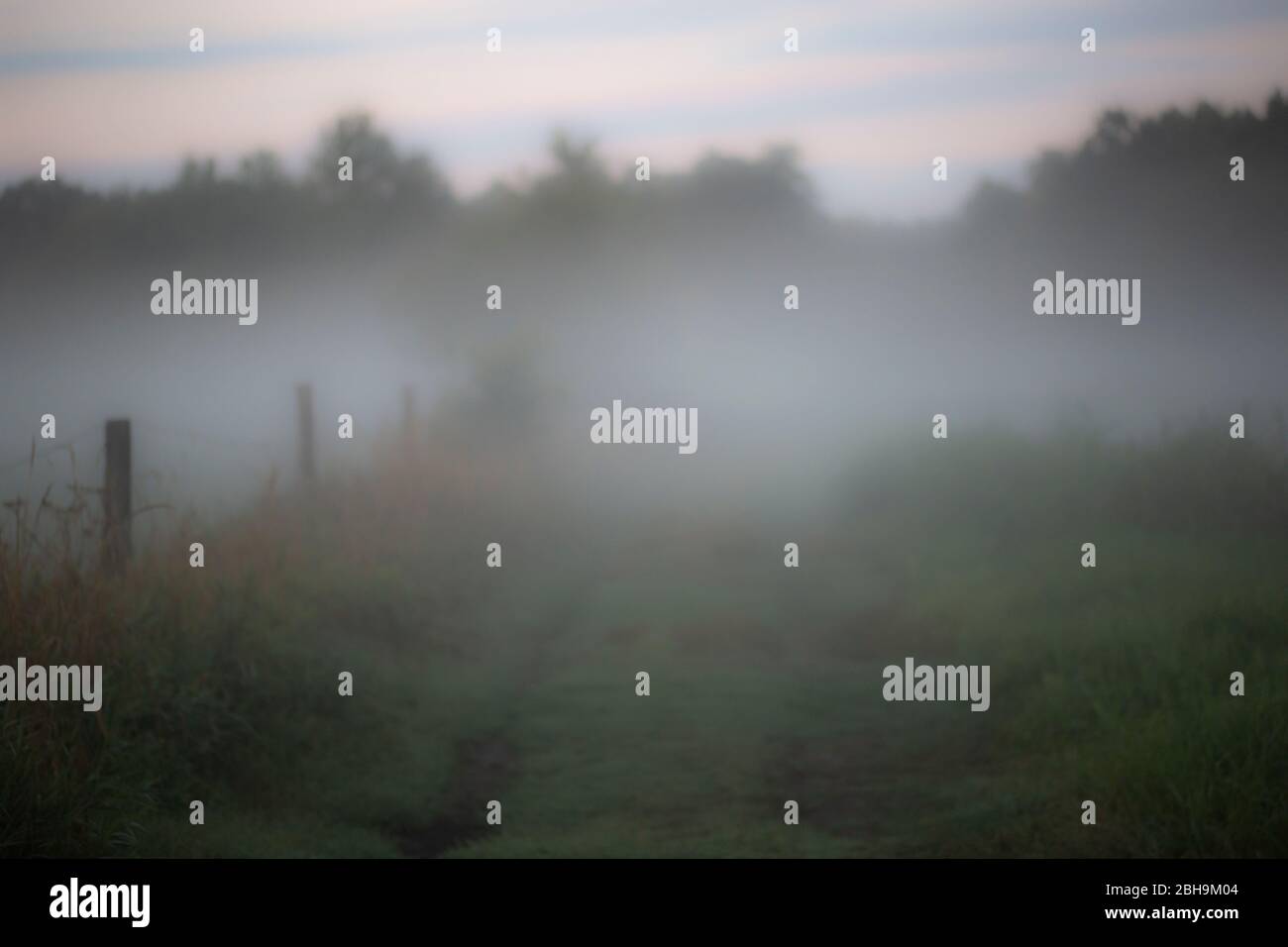 Mist on meadow hi-res stock photography and images - Alamy