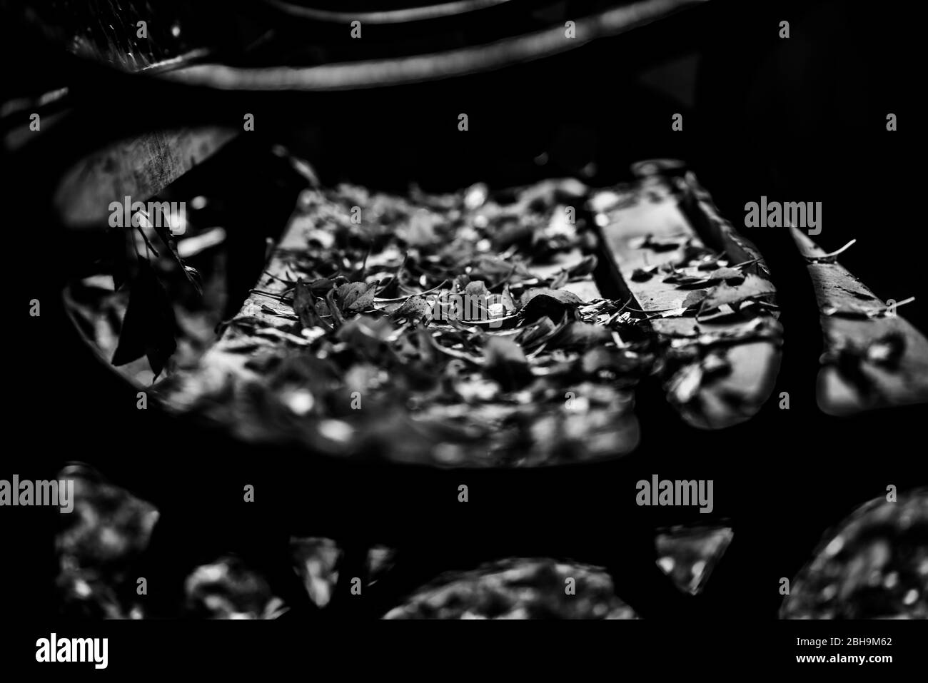 Leaves wooden bench Black and White Stock Photos & Images - Alamy