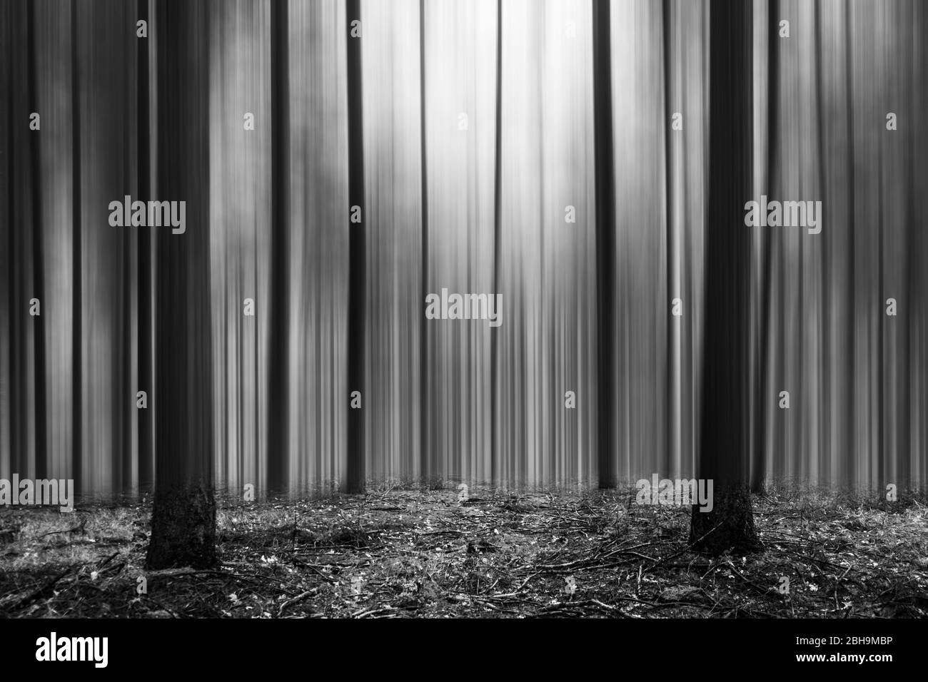 Forest work environment Black and White Stock Photos & Images - Alamy