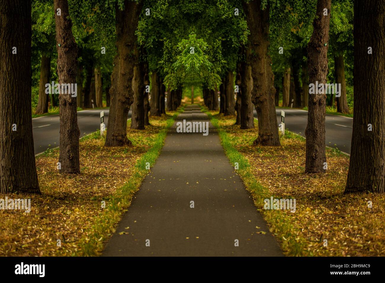 Bike path next to a country road Stock Photo - Alamy