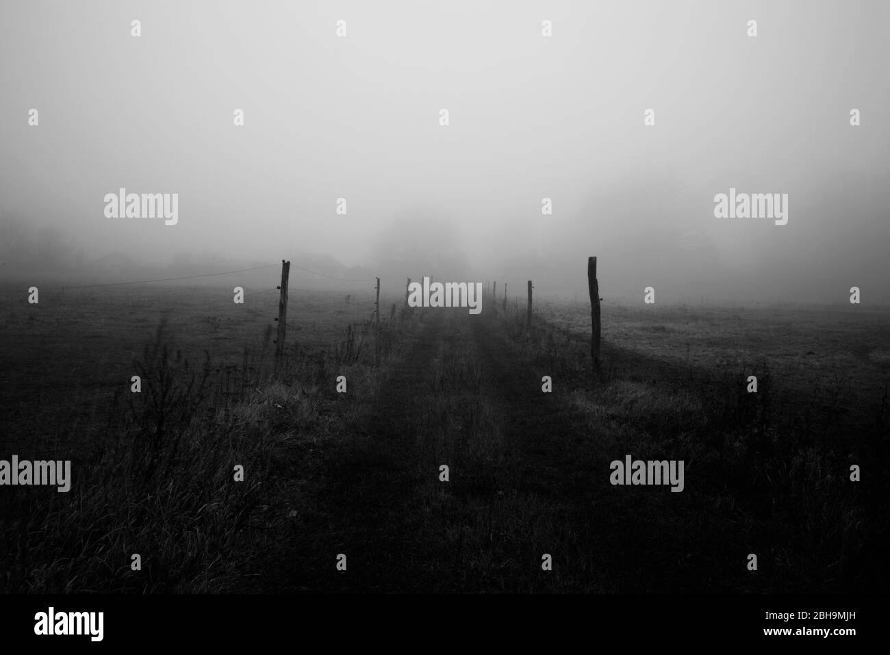 Raining on pathway hi-res stock photography and images - Alamy