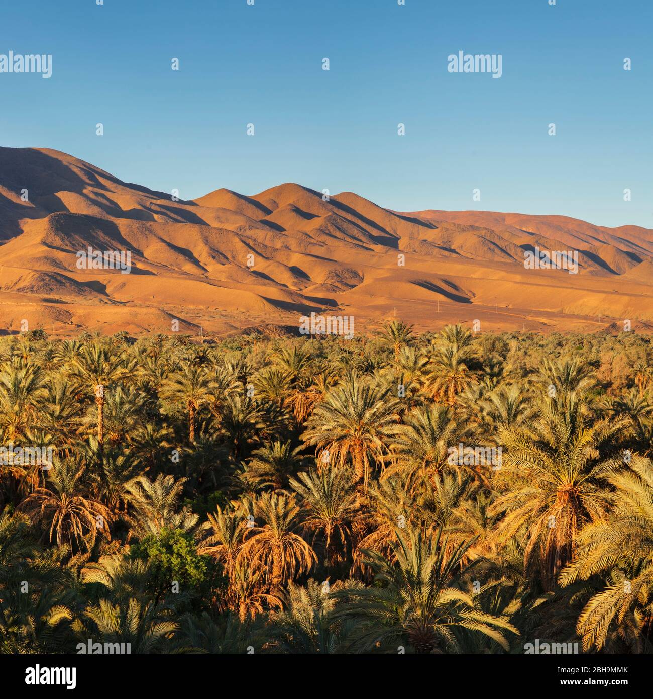 Draa Valley, Atlas Mountains, Southern Morocco, Morocco, Al-Maghreb ...