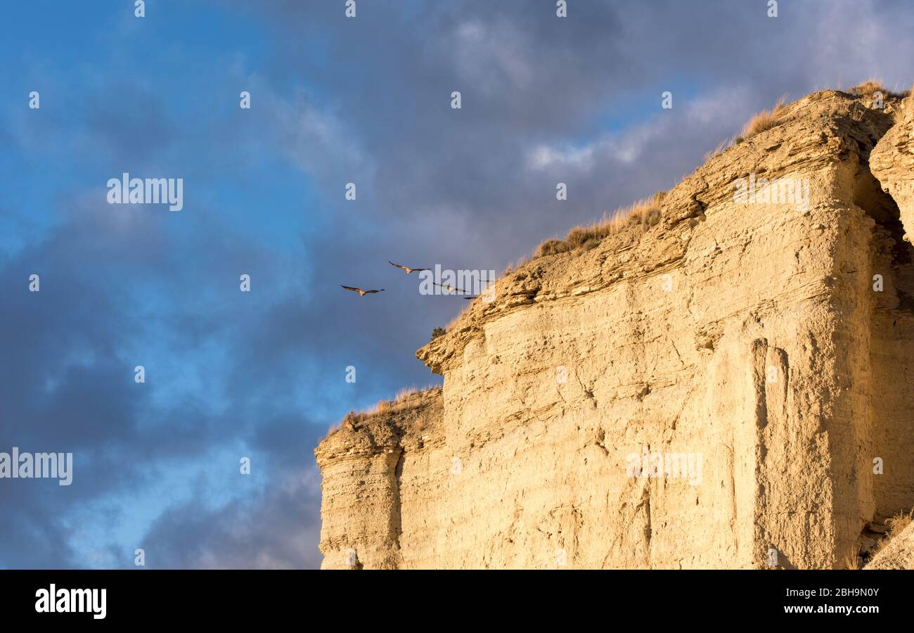 Flying at tierra hi-res stock photography and images - Alamy