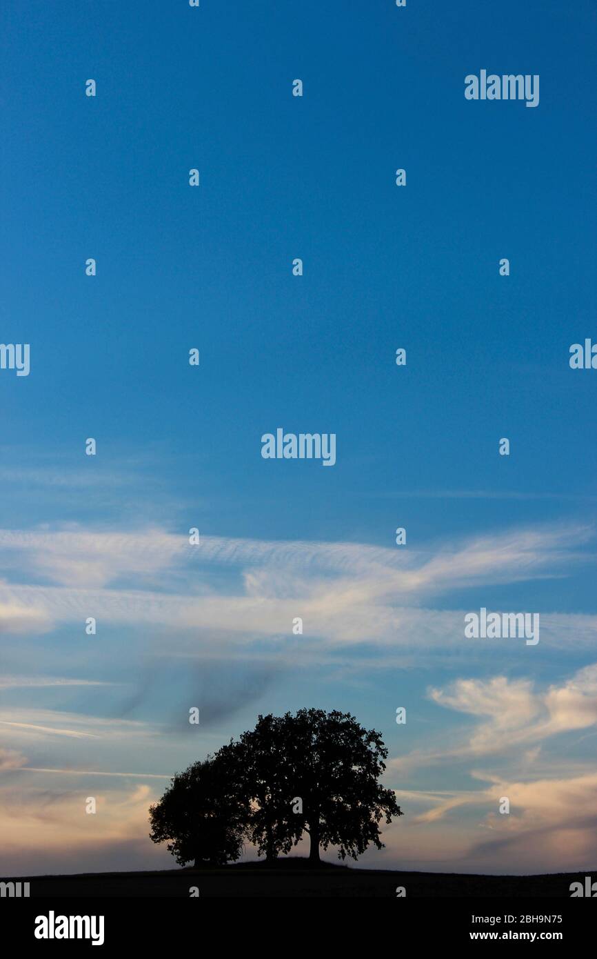 Field and tree hi-res stock photography and images - Alamy