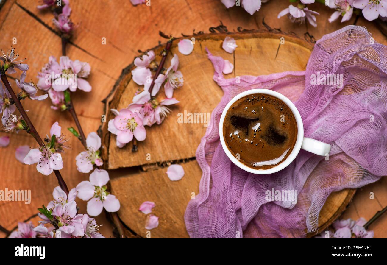 cup of coffee with flowering cherry tree branches. Spring and sakura ...