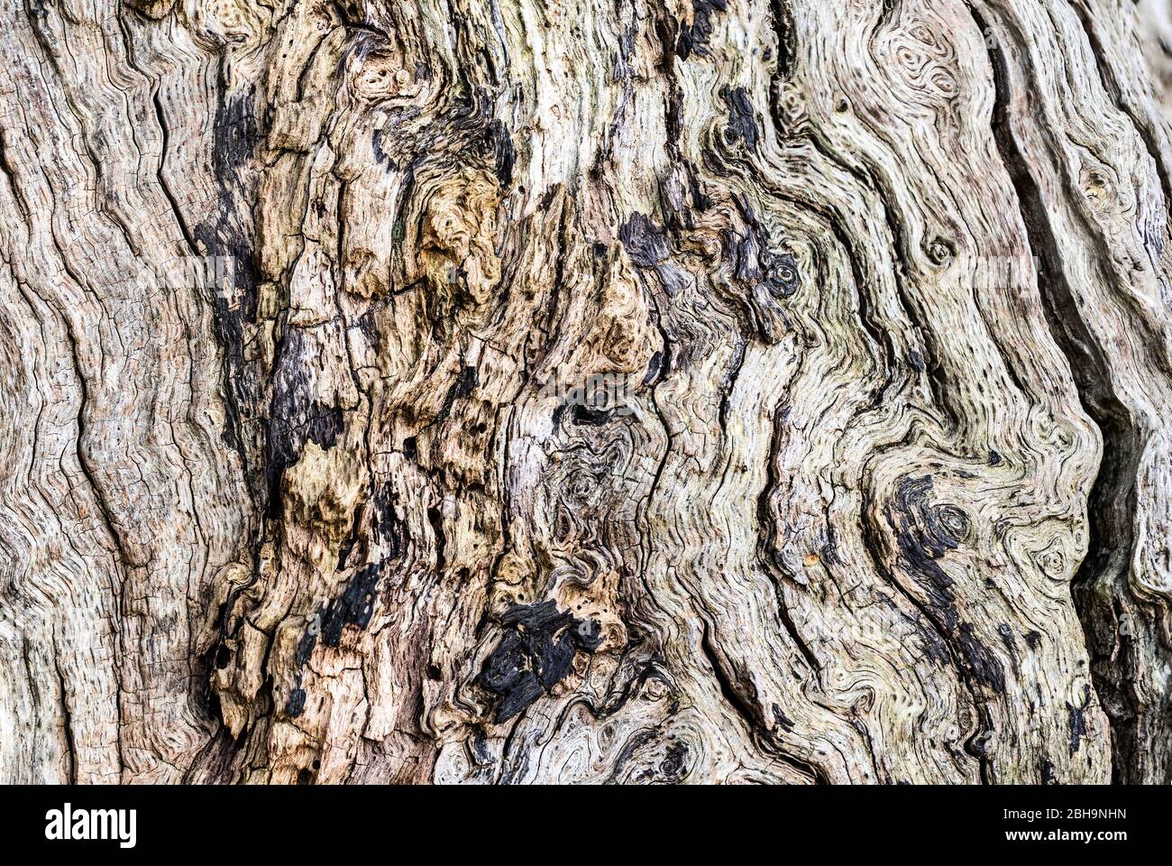 Wood, weathered, lines, structure Stock Photo - Alamy