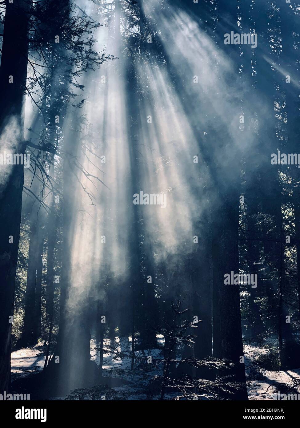 Lighted morning light hi-res stock photography and images - Alamy