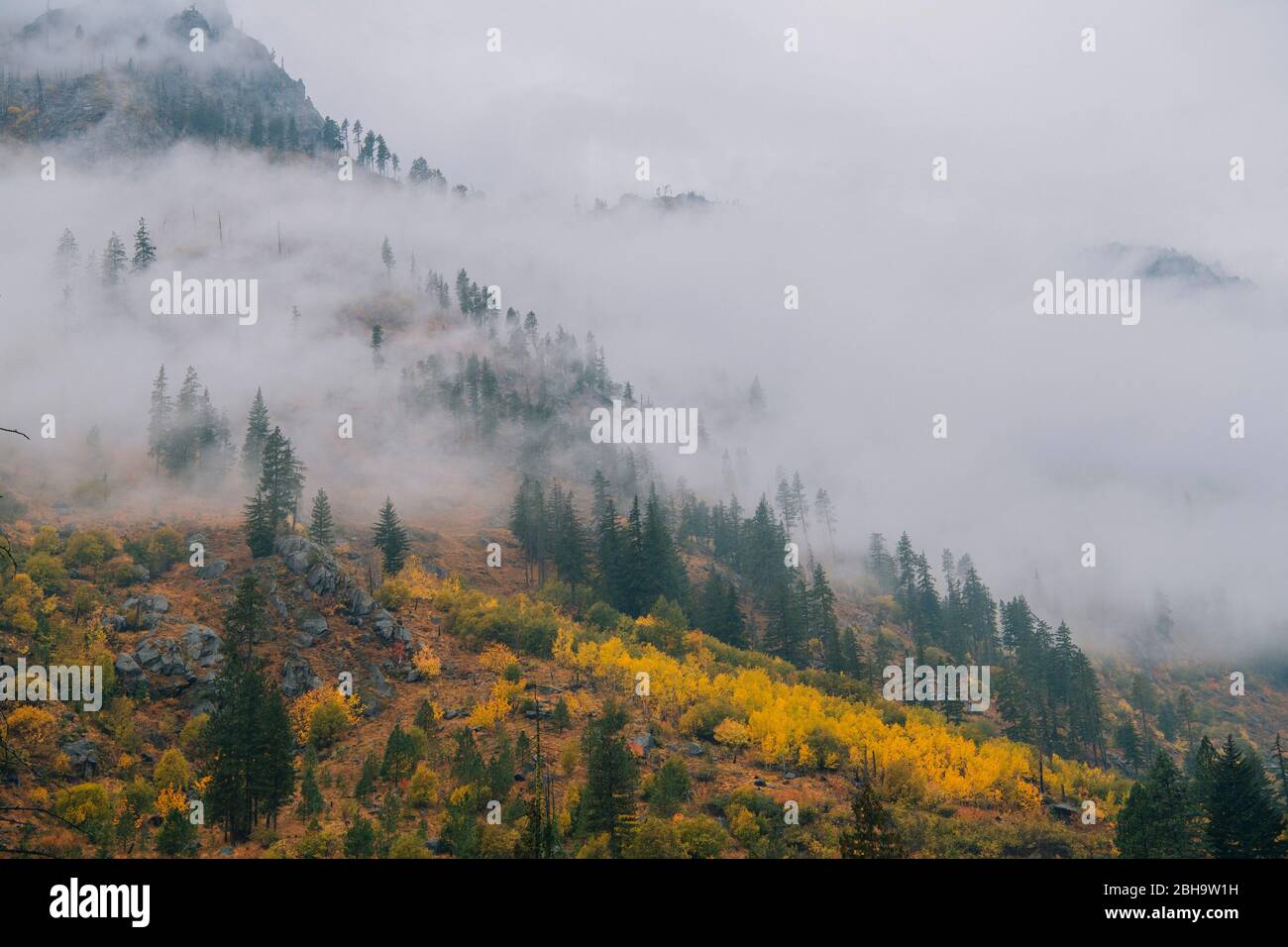 Fog mountain color hi-res stock photography and images - Alamy