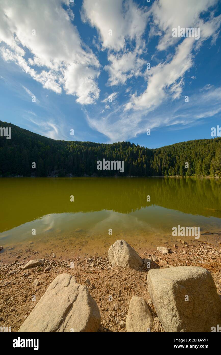 Lac Vert France High Resolution Stock Photography and Images - Alamy